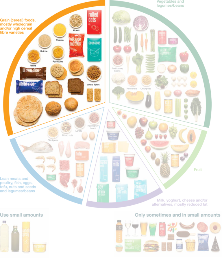 Understanding carbohydrates – NDSS Youth Zone